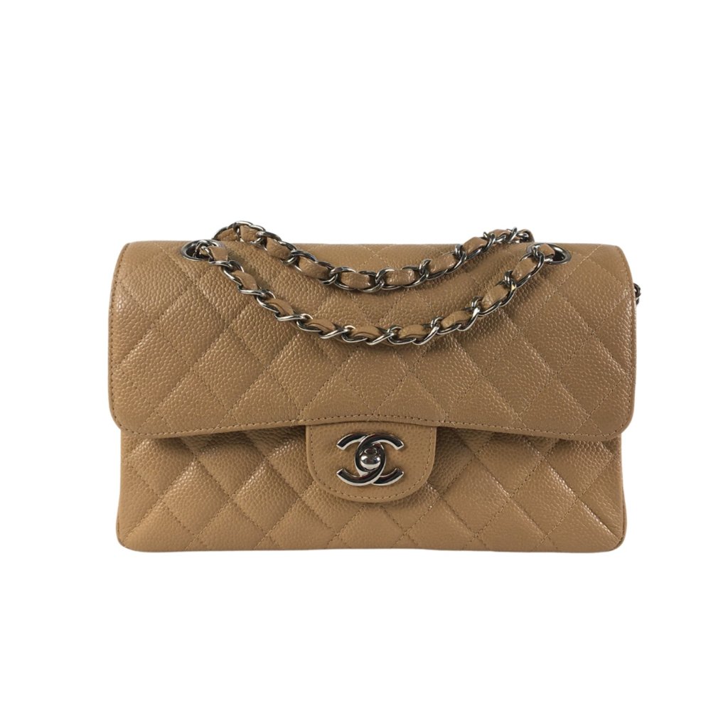 Chanel Small Classic Flap | Beige Silver Handbag - Luxe Du Jour