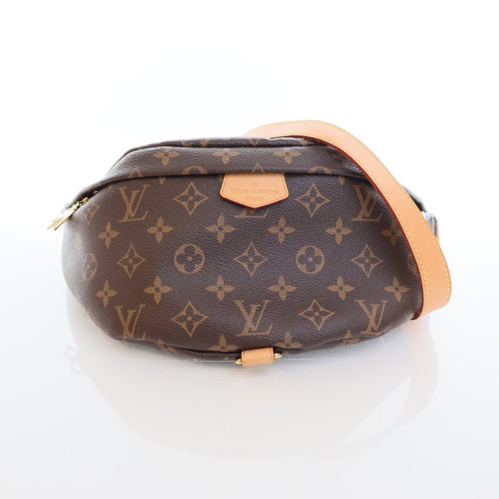 Louis Vuitton Bumbag - Luxe Du Jour