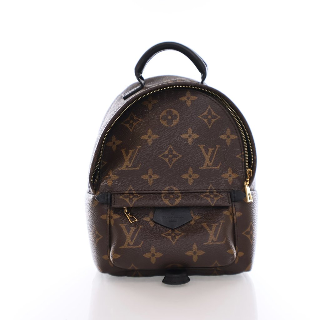 Louis Vuitton Mini Palm Springs Backpack - Luxe Du Jour