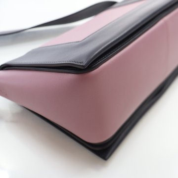 Celine Frame Bag Luxe Du Jour