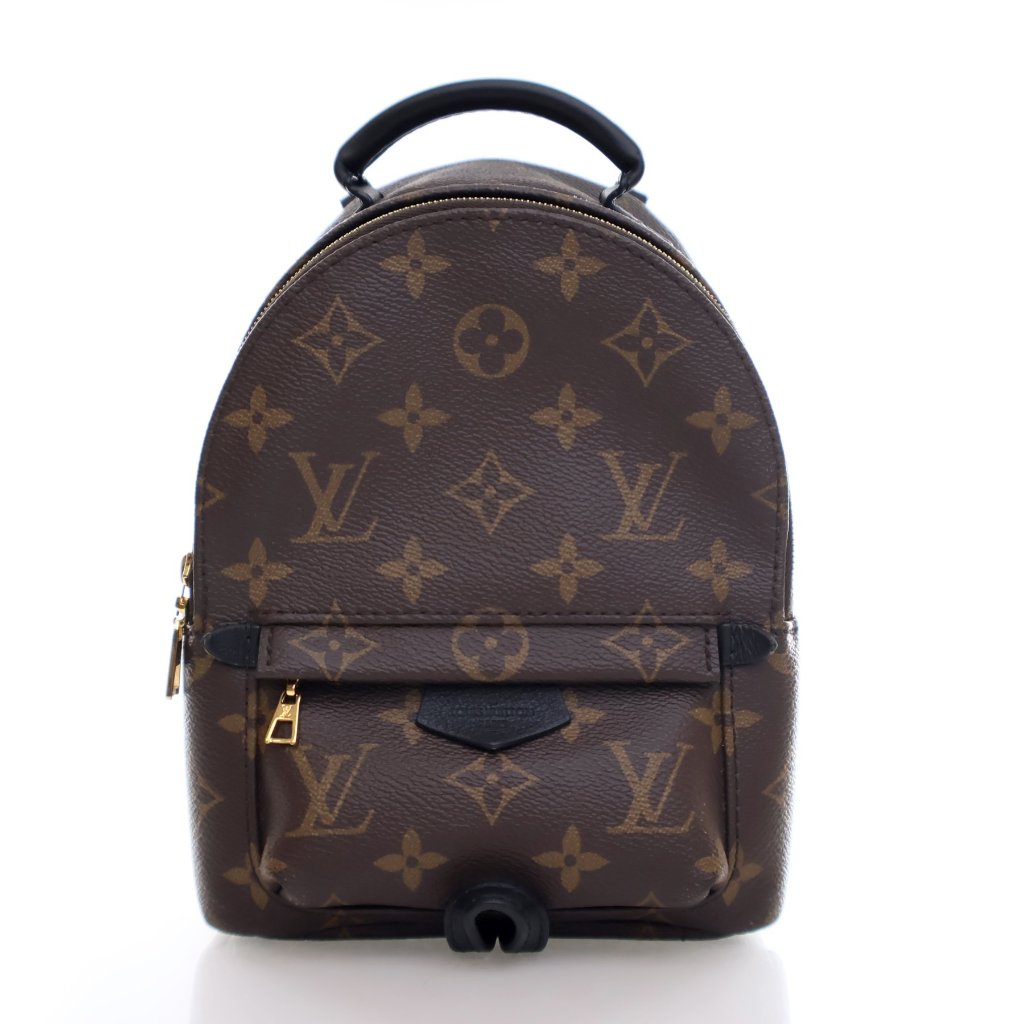 Louis Vuitton Monogram Mini Palm Springs - Luxe Du Jour